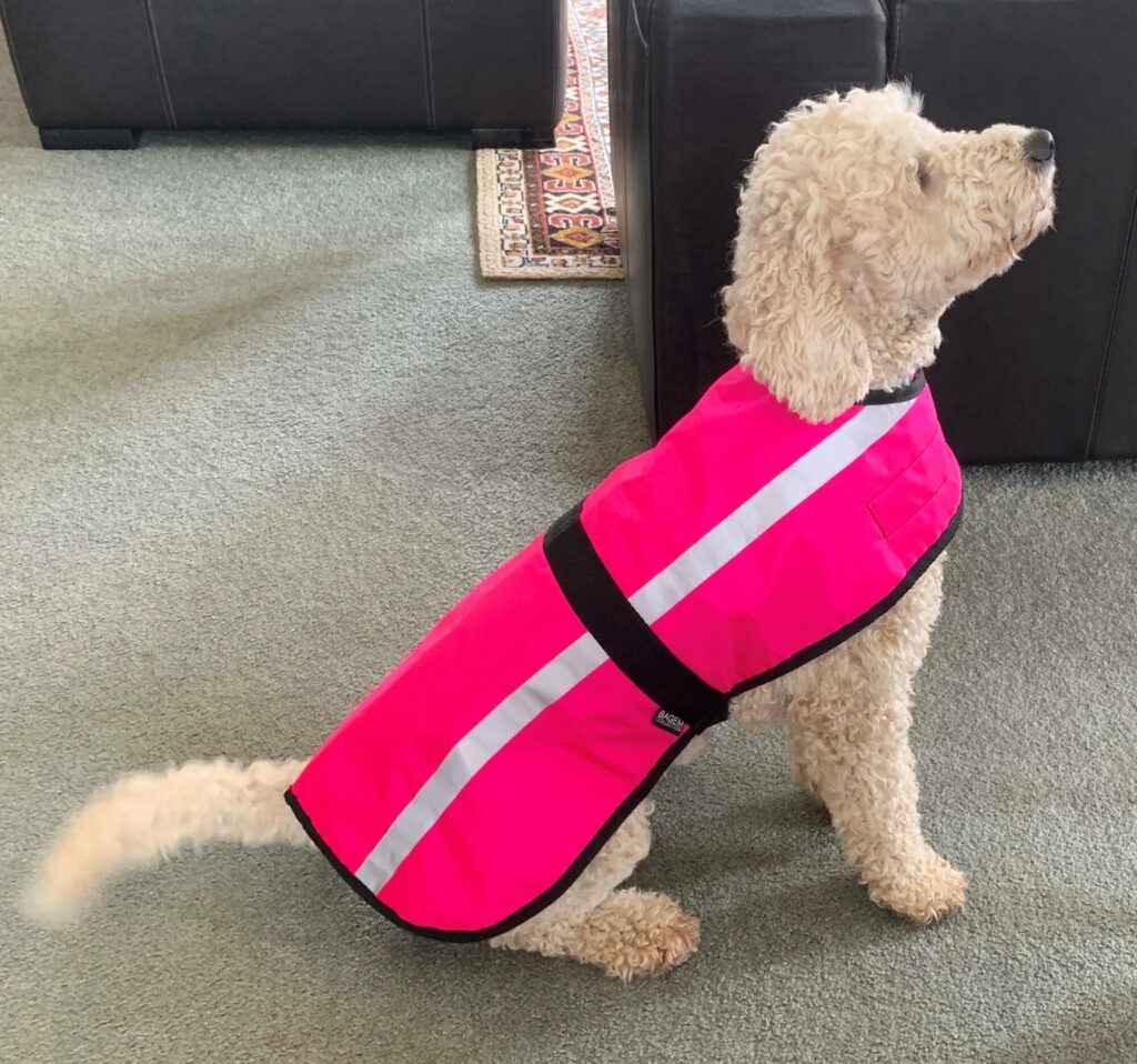 High Vis Dog Jacket