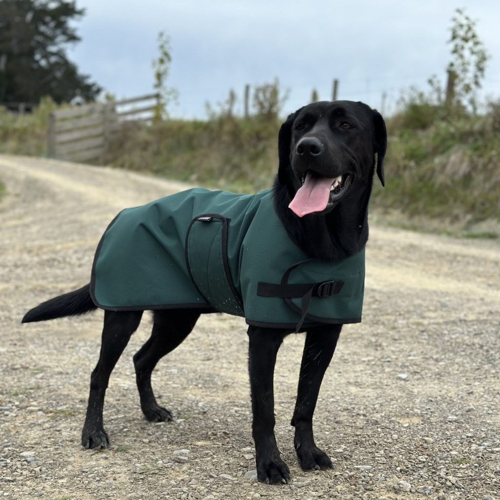 BagEm Collection | Pet, Lifestyle, Farming, Fishing & Hunting Accessories