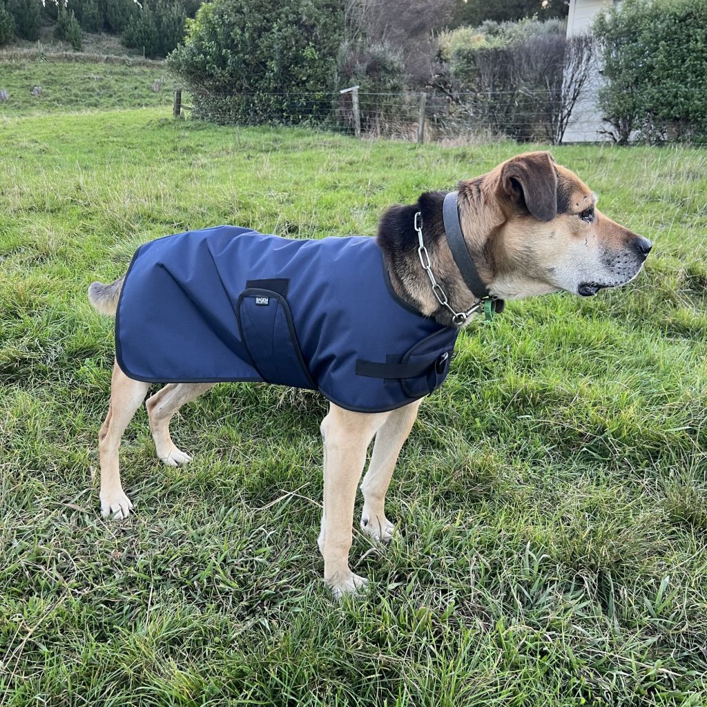 Waterproof Wool Lined Working Dog Jacket-Made in New Zealand
