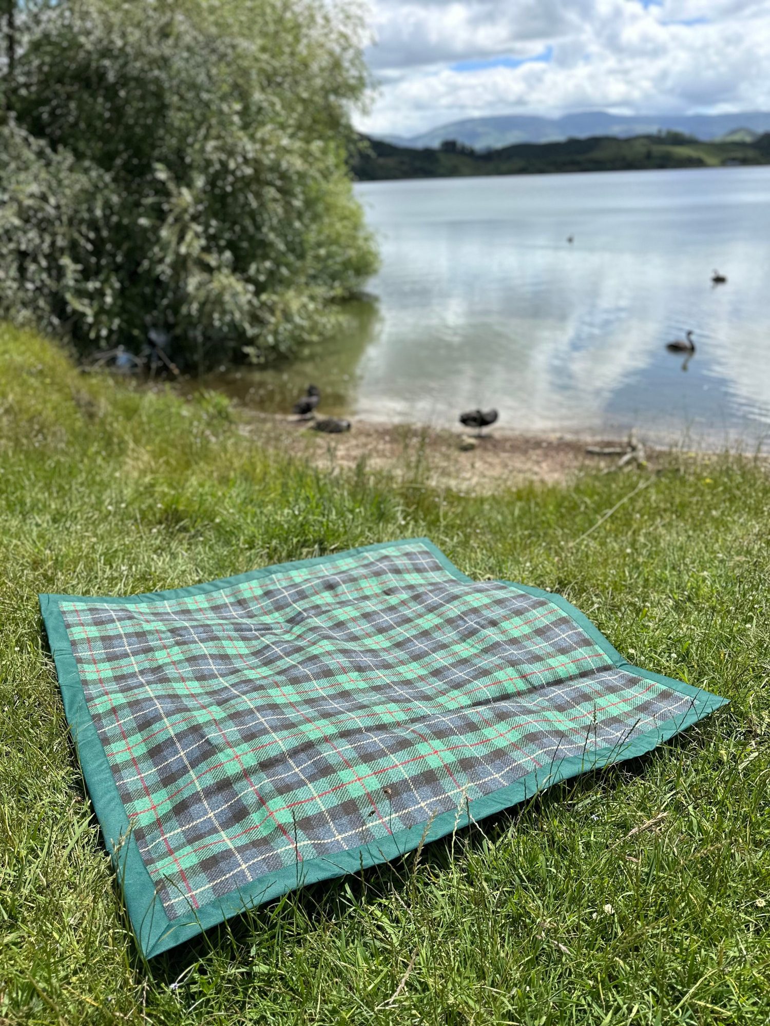 Picnic Blanket - BagEm